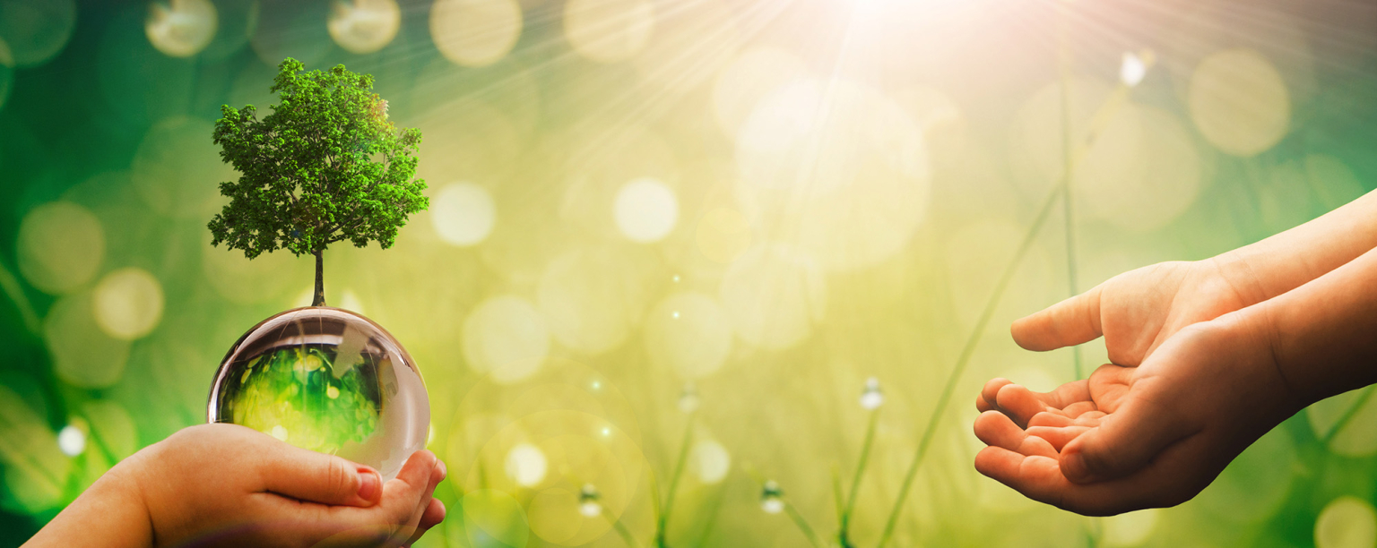 IG541: The Efficient Fire Suppression Solution - Fire Eater